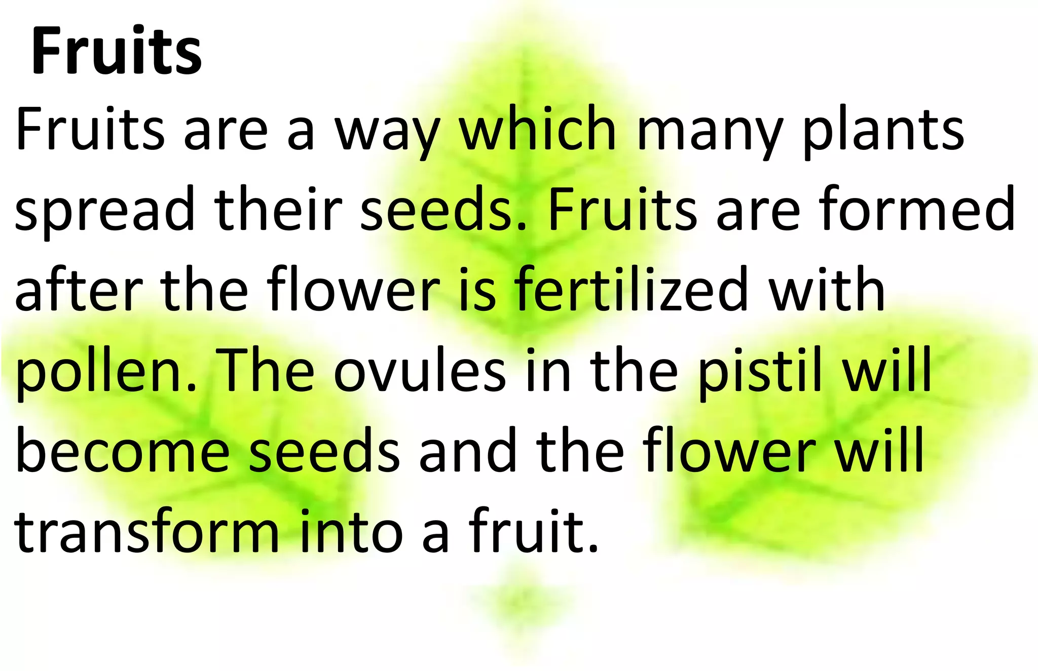 Plants organ system | PPTX