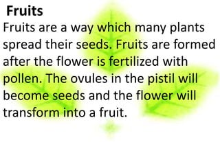 Plants organ system | PPTX