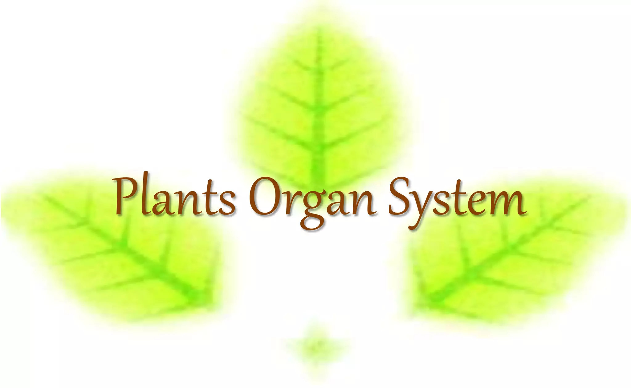 Plants organ system | PPTX