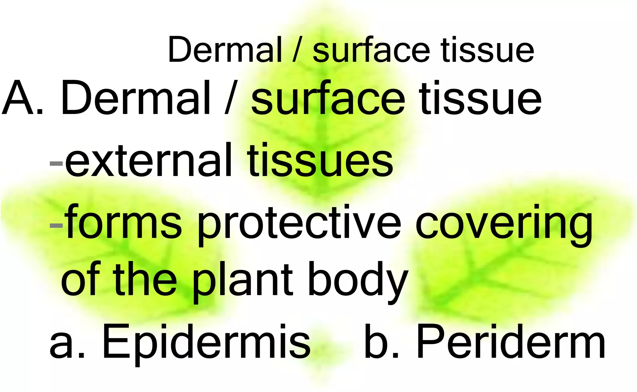 Plants organ system | PPTX