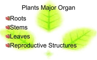 Plants organ system | PPTX