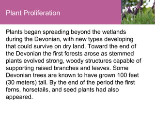 Plants (paleozoic era) | PPT