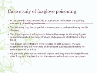 Plants & potions presentation final (2) (1) | PPTX | Herbs and ...