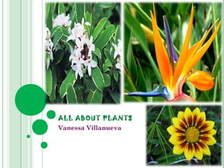 Plants and their many uses | PPT