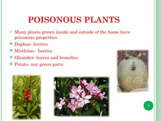 Plants and their many uses | PPT