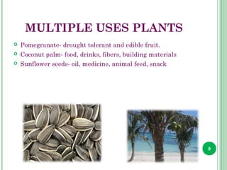 Plants and their many uses | PPT