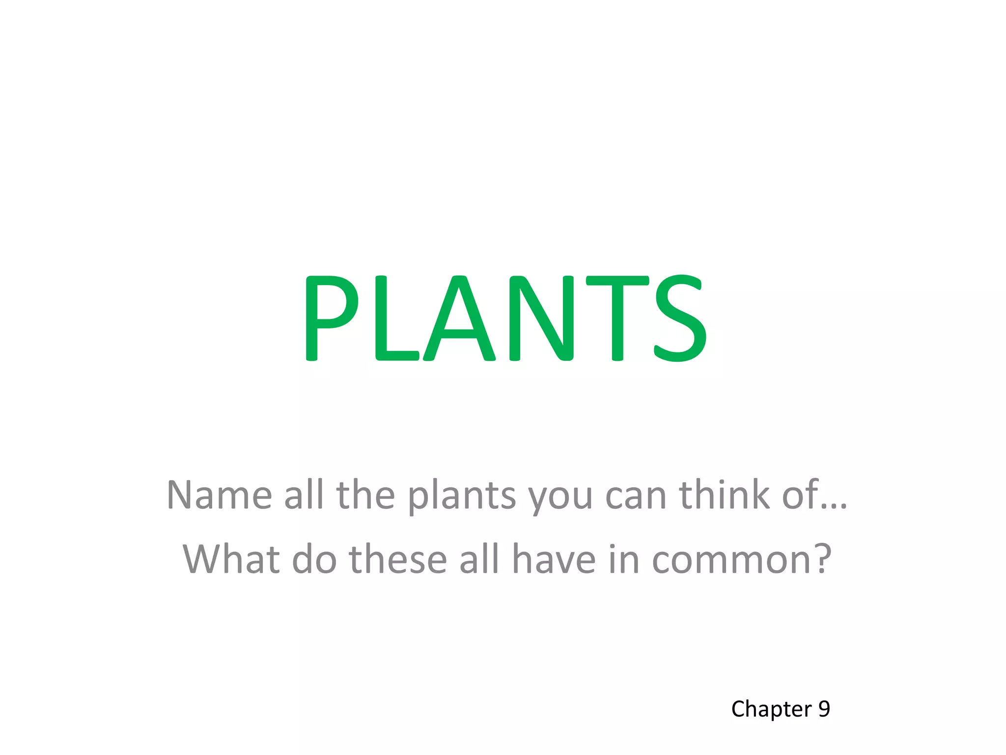 Plants power point | PPT
