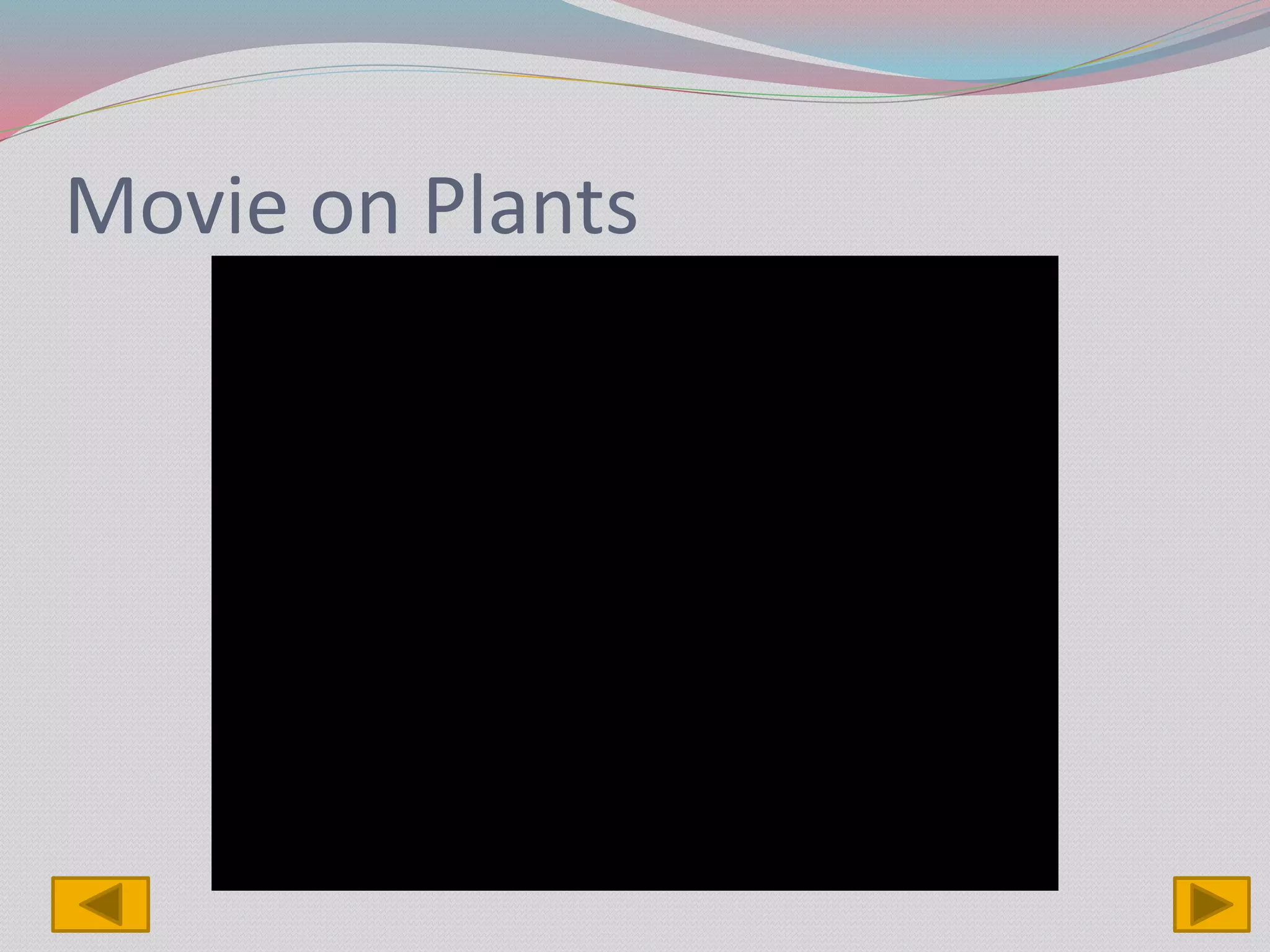 Plants powerpoint | PPTX
