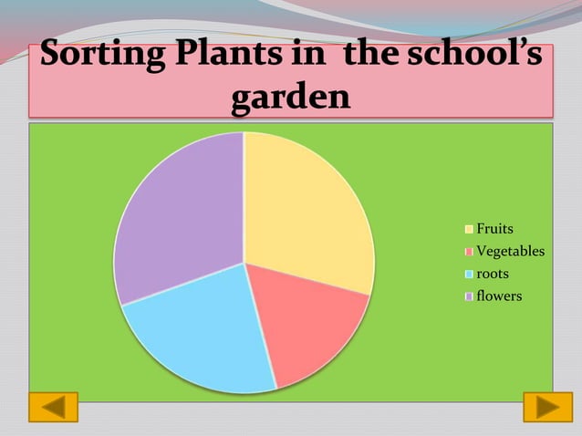Plants powerpoint | PPTX