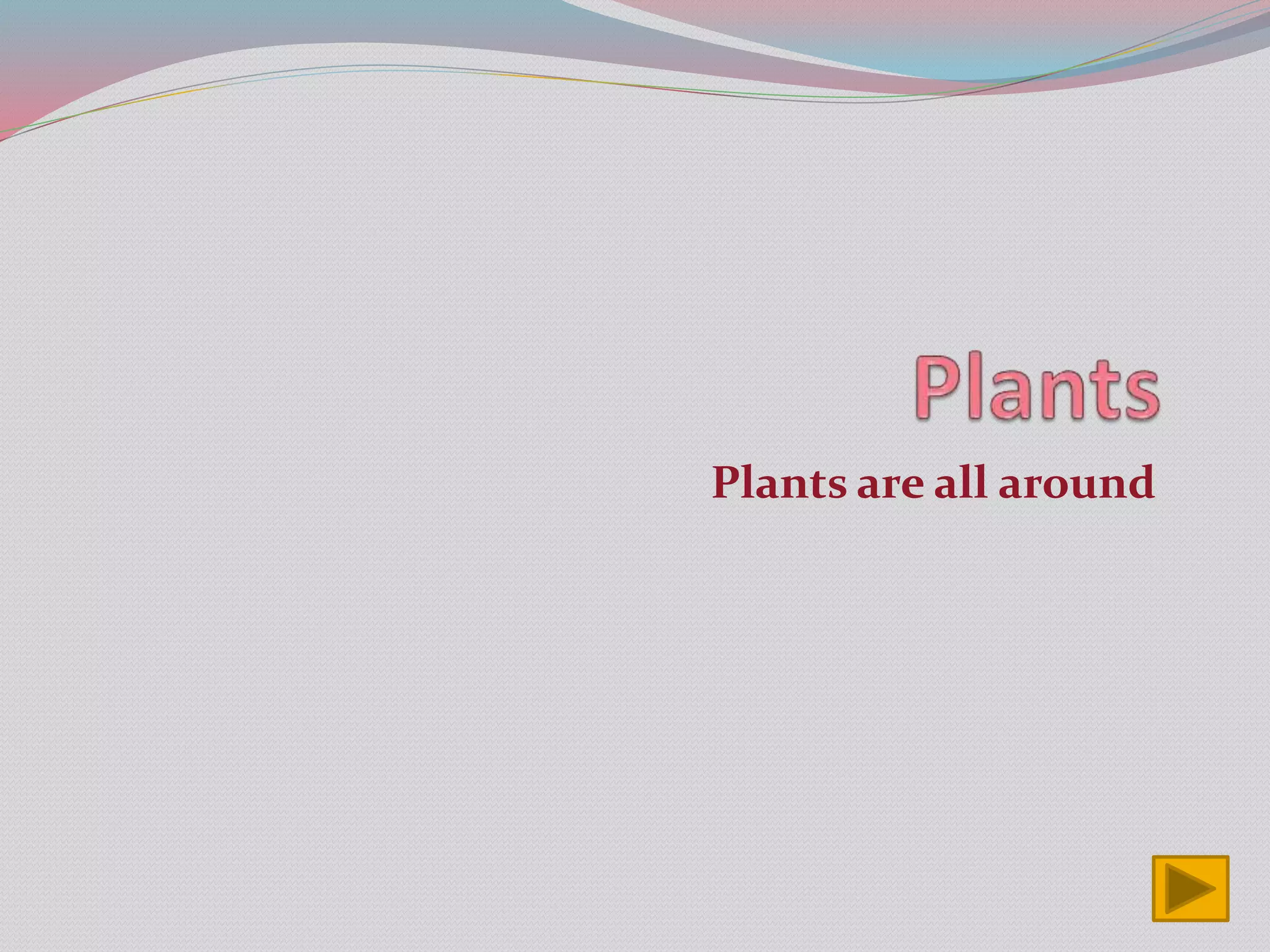 Plants powerpoint | PPT