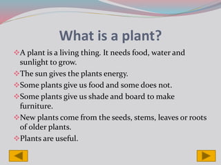 Plants powerpoint | PPT