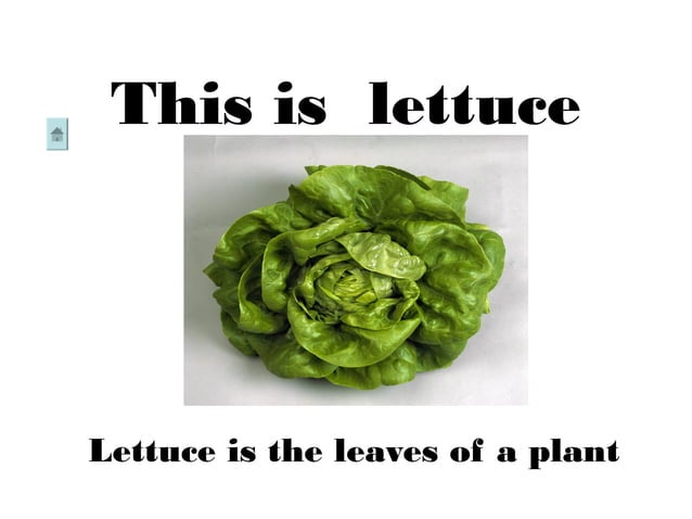 Plants powerpoint and interactive activities | PPT | Free Download