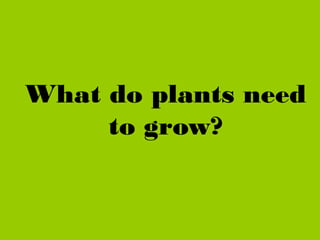 Plants powerpoint and interactive activities | PPT