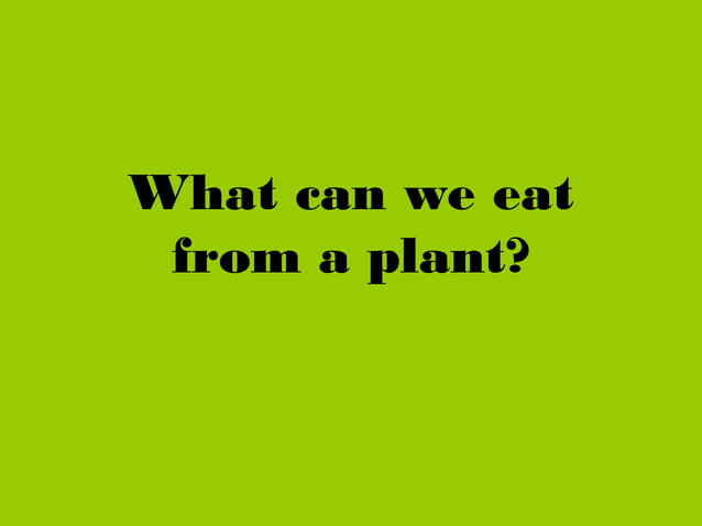 Plants powerpoint and interactive activities