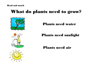 Plants powerpoint and interactive activities | PPT