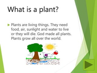 Plants powerpoint lesson | PPTX