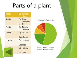 Plants powerpoint lesson | PPTX