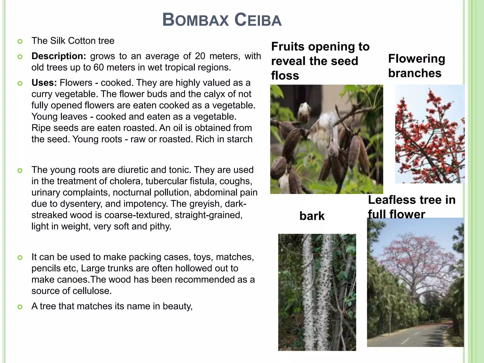 Plants,Tress,Shrubs and Flowers of Pakistan | PPTX