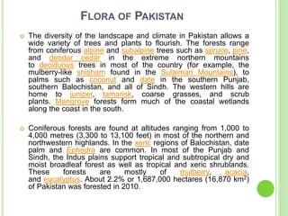 Plants,Tress,Shrubs and Flowers of Pakistan | PPTX