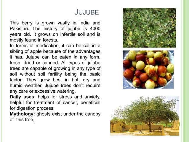 Plants,Tress,Shrubs and Flowers of Pakistan | PPTX | Gardening | Home ...