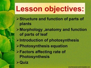 Plants | PPT