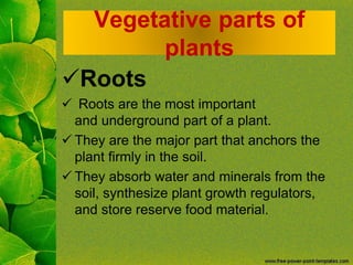 Plants | PPT