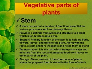 Plants | PPT