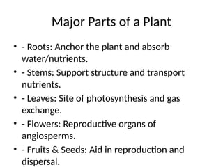 botany- Plants structure_Presentation.pptx