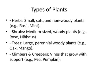 botany- Plants structure_Presentation.pptx