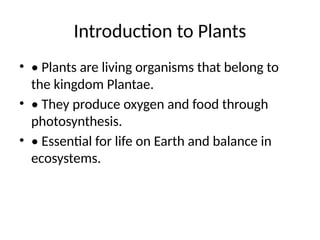 Plants_ pretty plants...Presentation.pptx