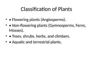 Plants_ pretty plants...Presentation.pptx