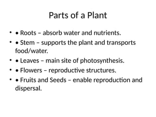 Plants_ pretty plants...Presentation.pptx