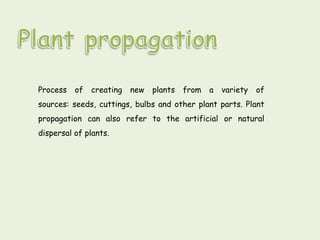 Plants propagation: Agronomy students | PPT