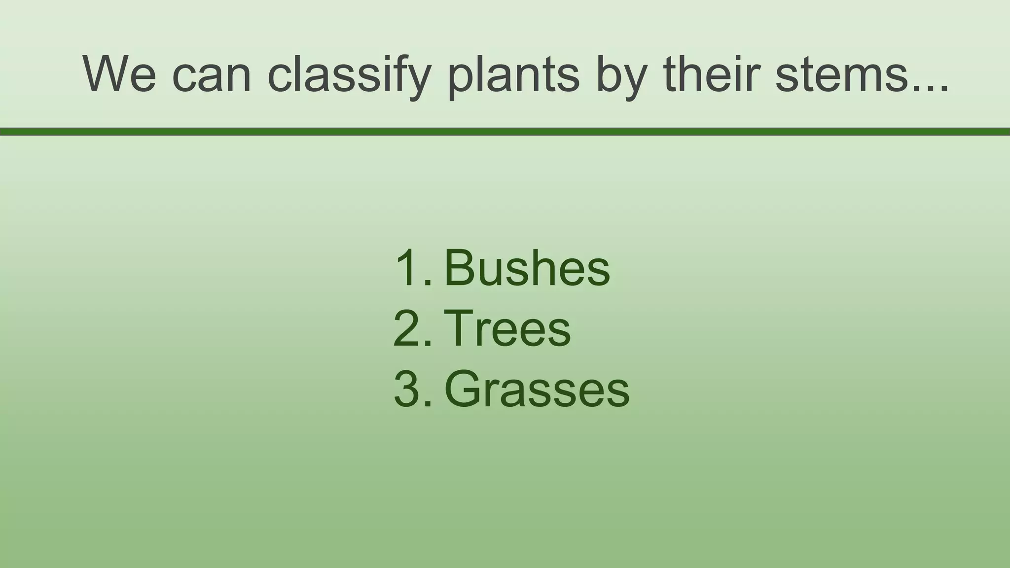Plants review 3rd grade | PPTX