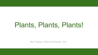 Plants review 3rd grade | PPTX