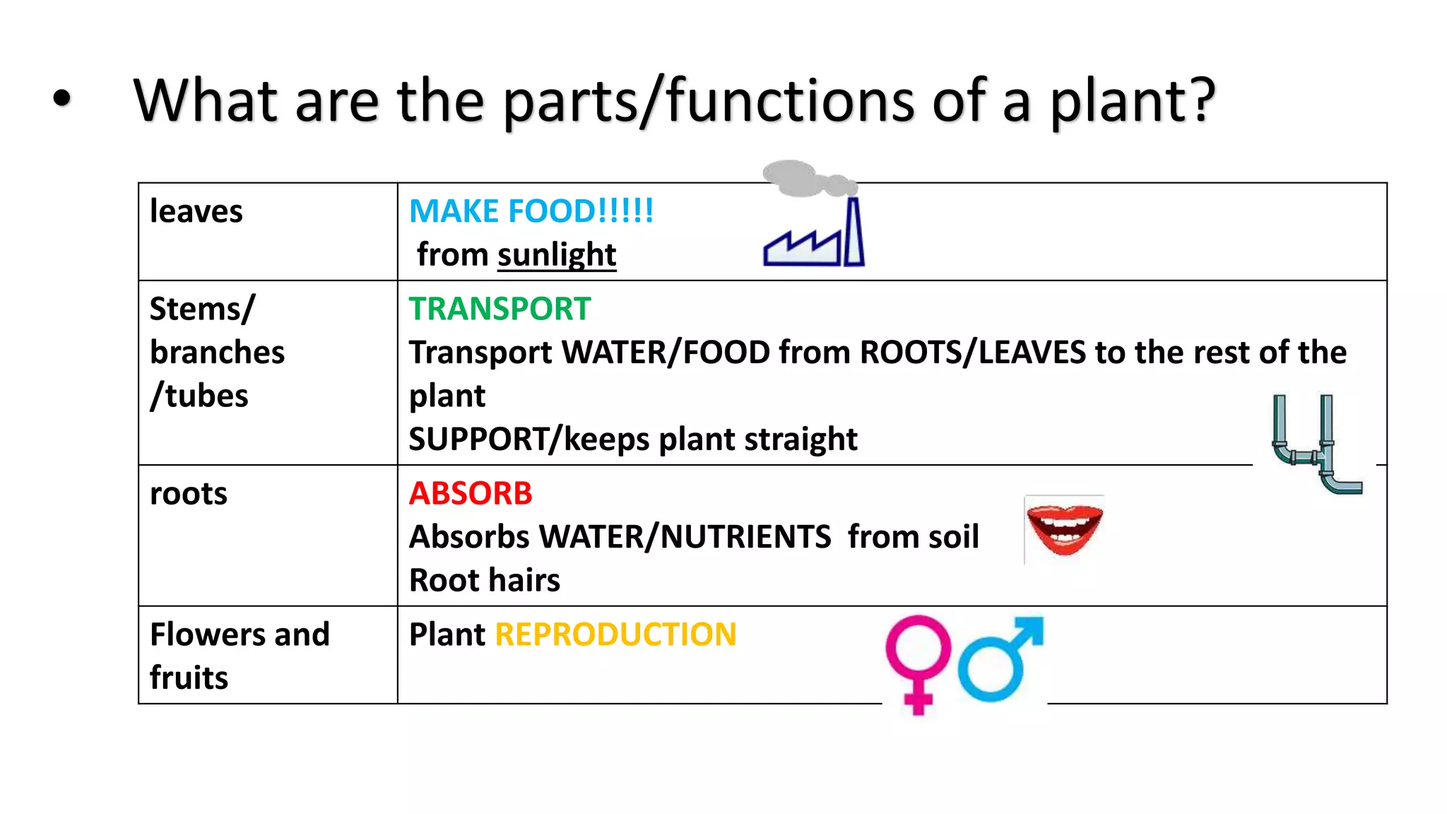 Plants structure | PPTX | Gardening | Home & Garden