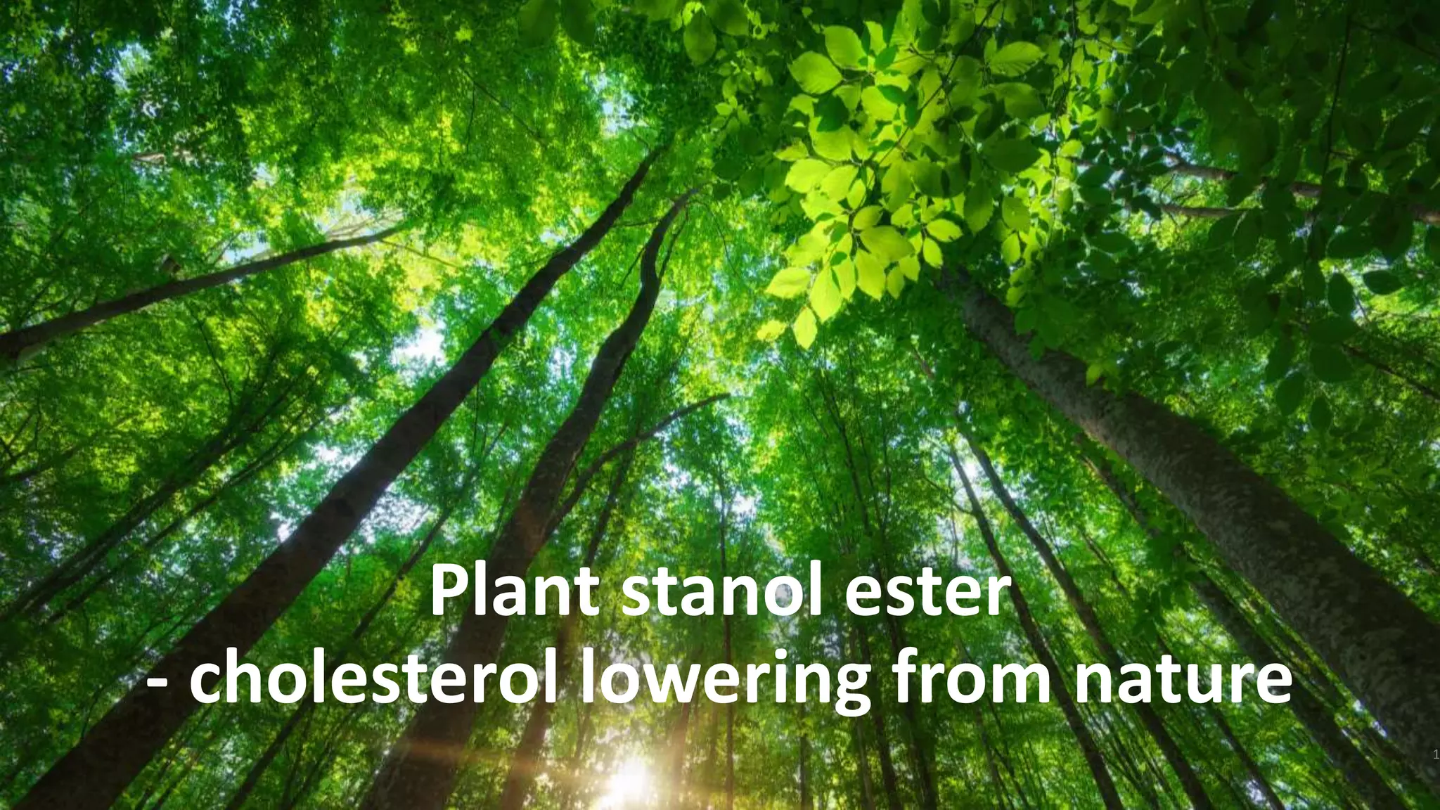 Plant stanols and plant stanol ester | PPTX