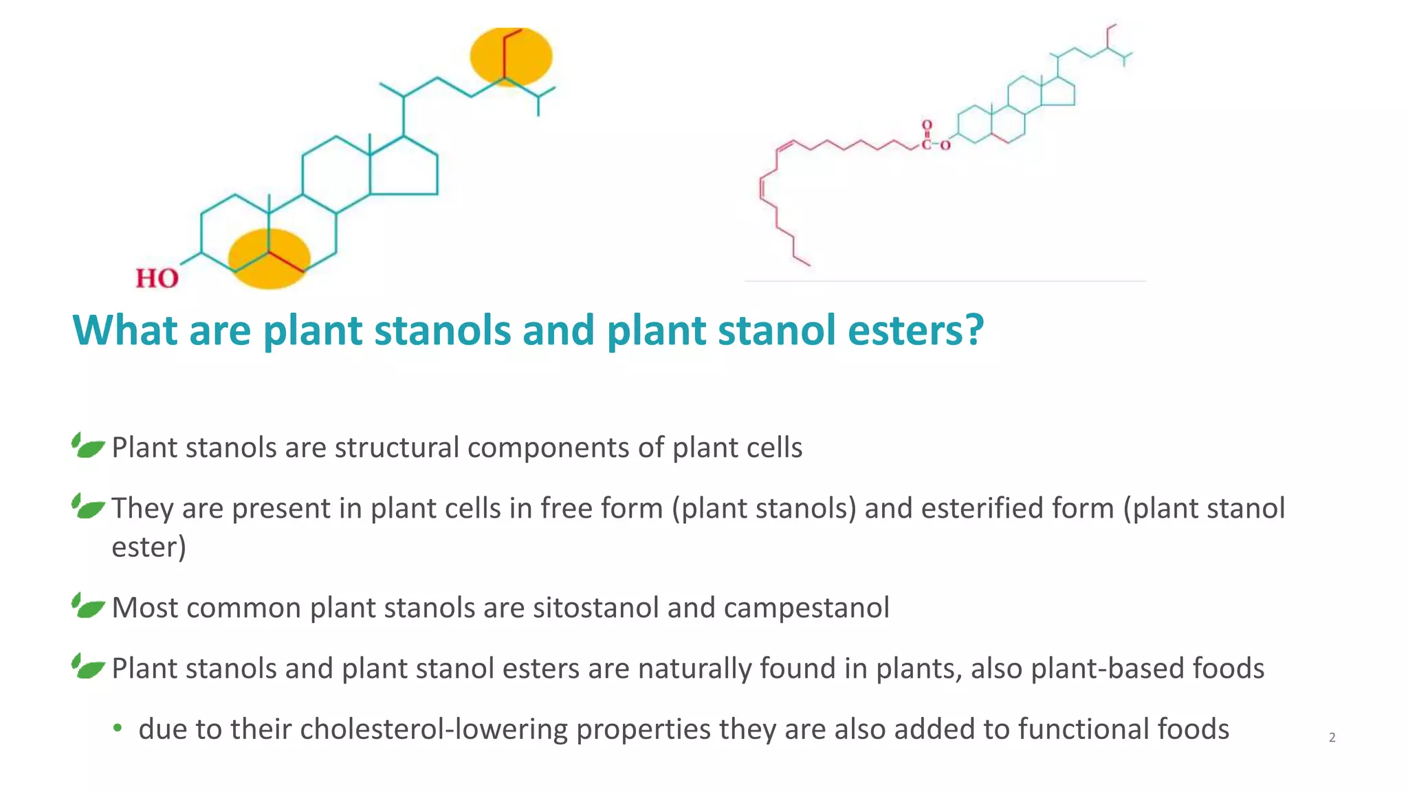Plant stanols and plant stanol ester | PPTX