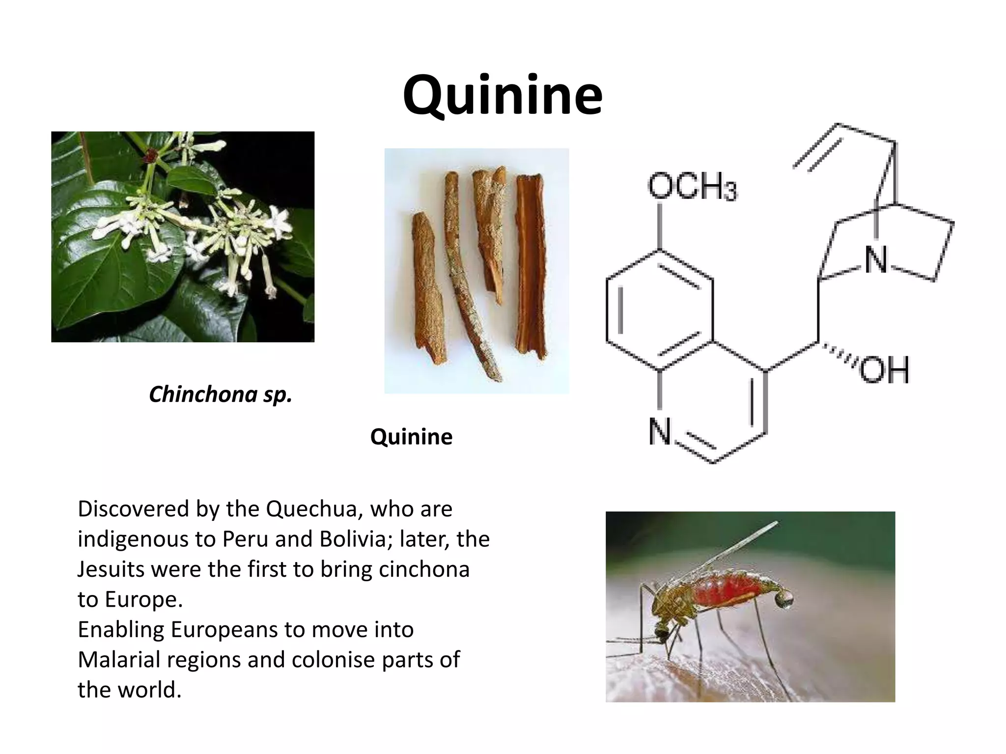 Plants that have changed the world | PPTX
