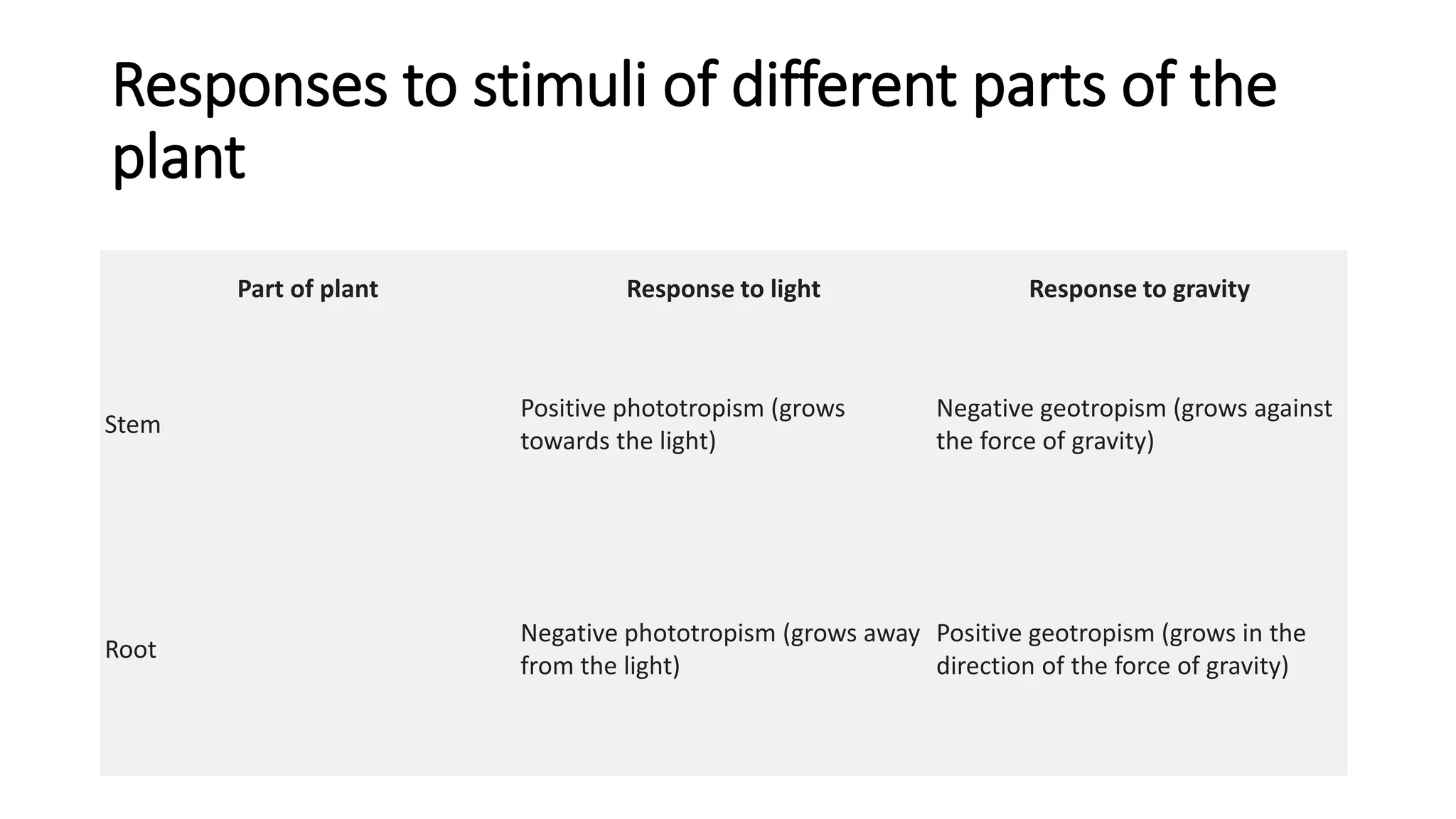 Plants Tropism & Tropic Responses IGCSE Biology | PPTX