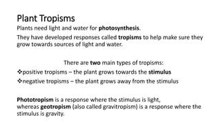 Plants Tropism & Tropic Responses IGCSE Biology | PPTX