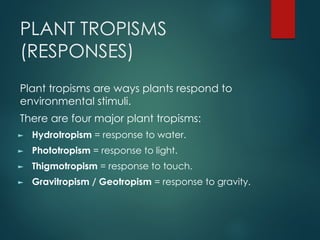 Plants Tropisms, Hormones Power Point.pptx.pdf