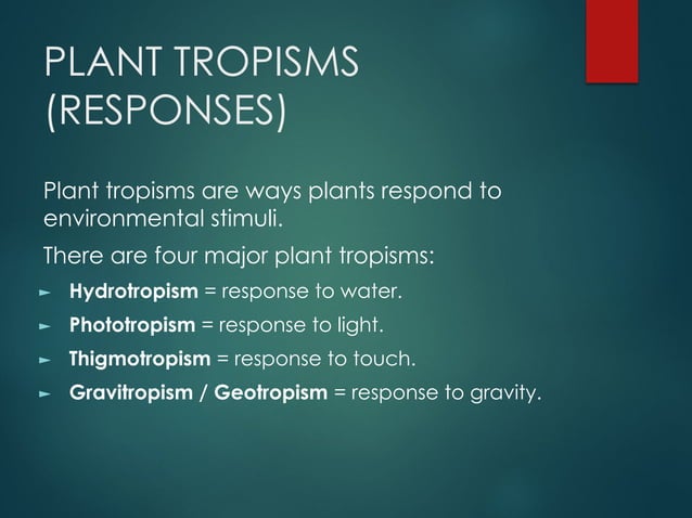 Plants Tropisms, Hormones Power Point.pptx.pdf