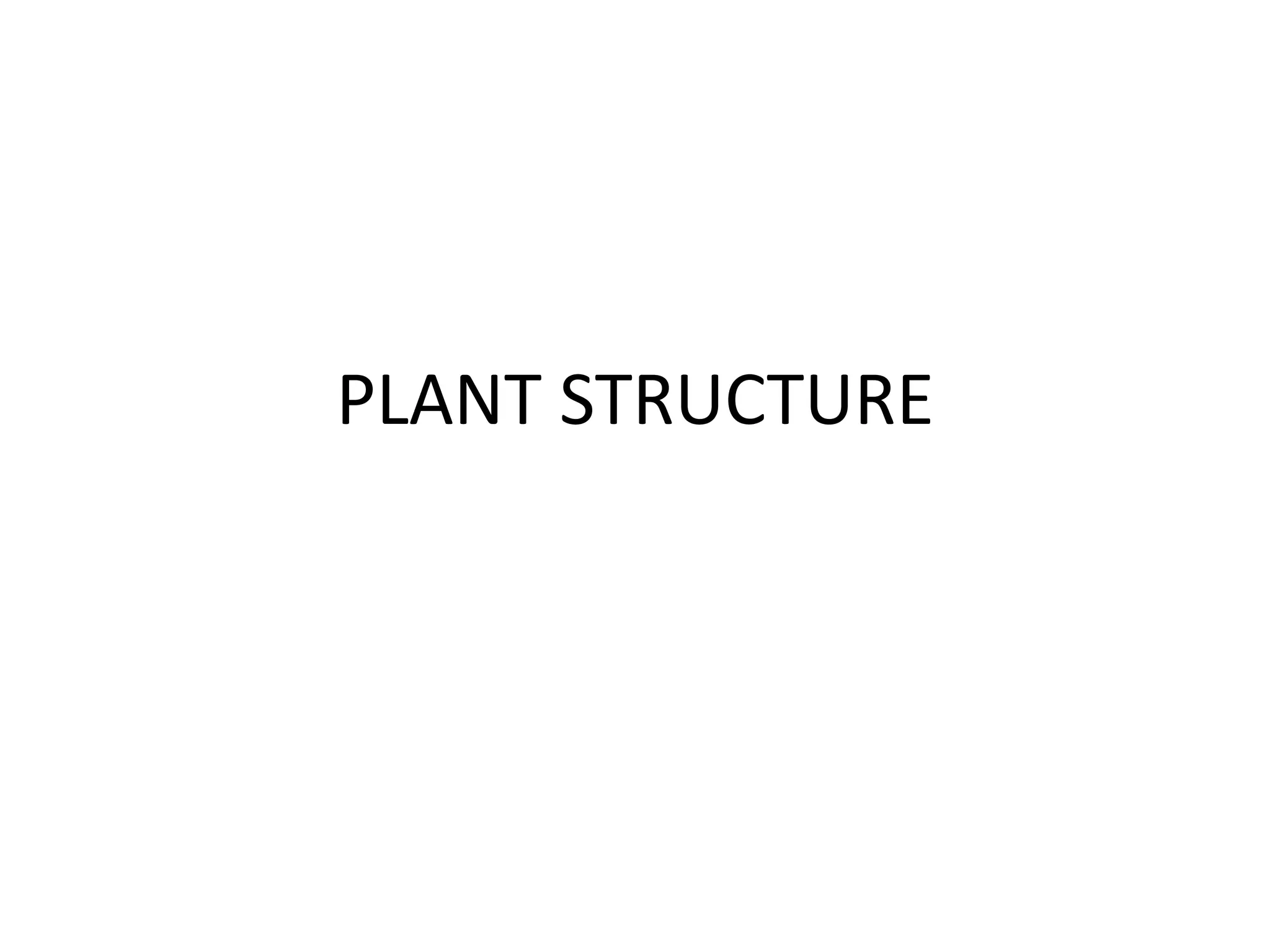 Plant structure | PPT