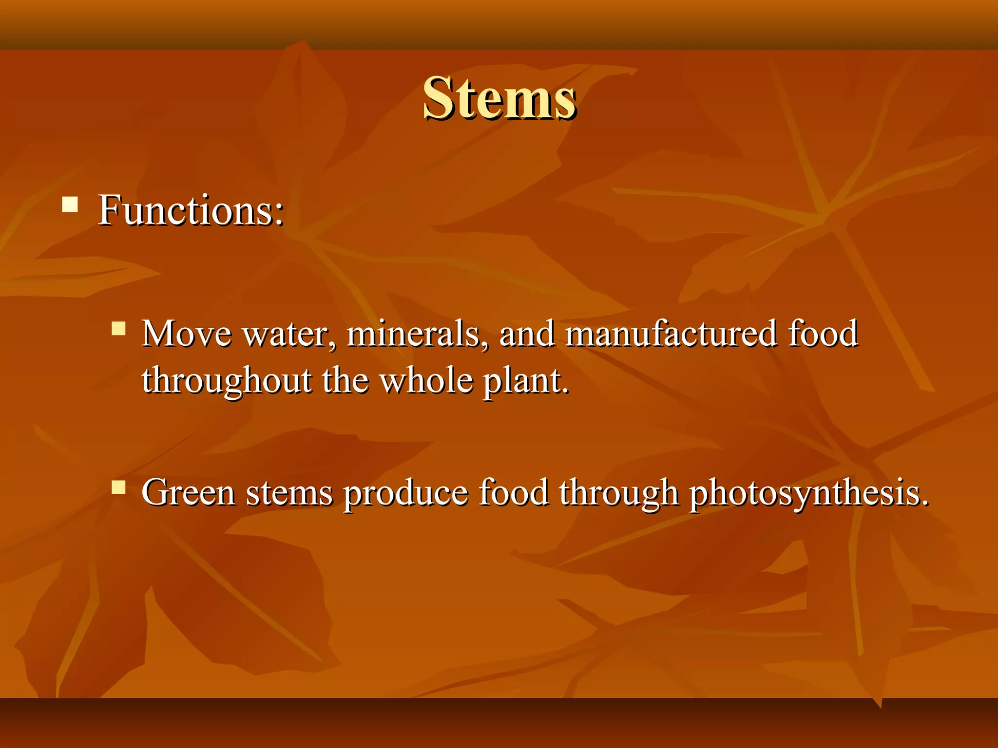 Plant structure and function | PPT
