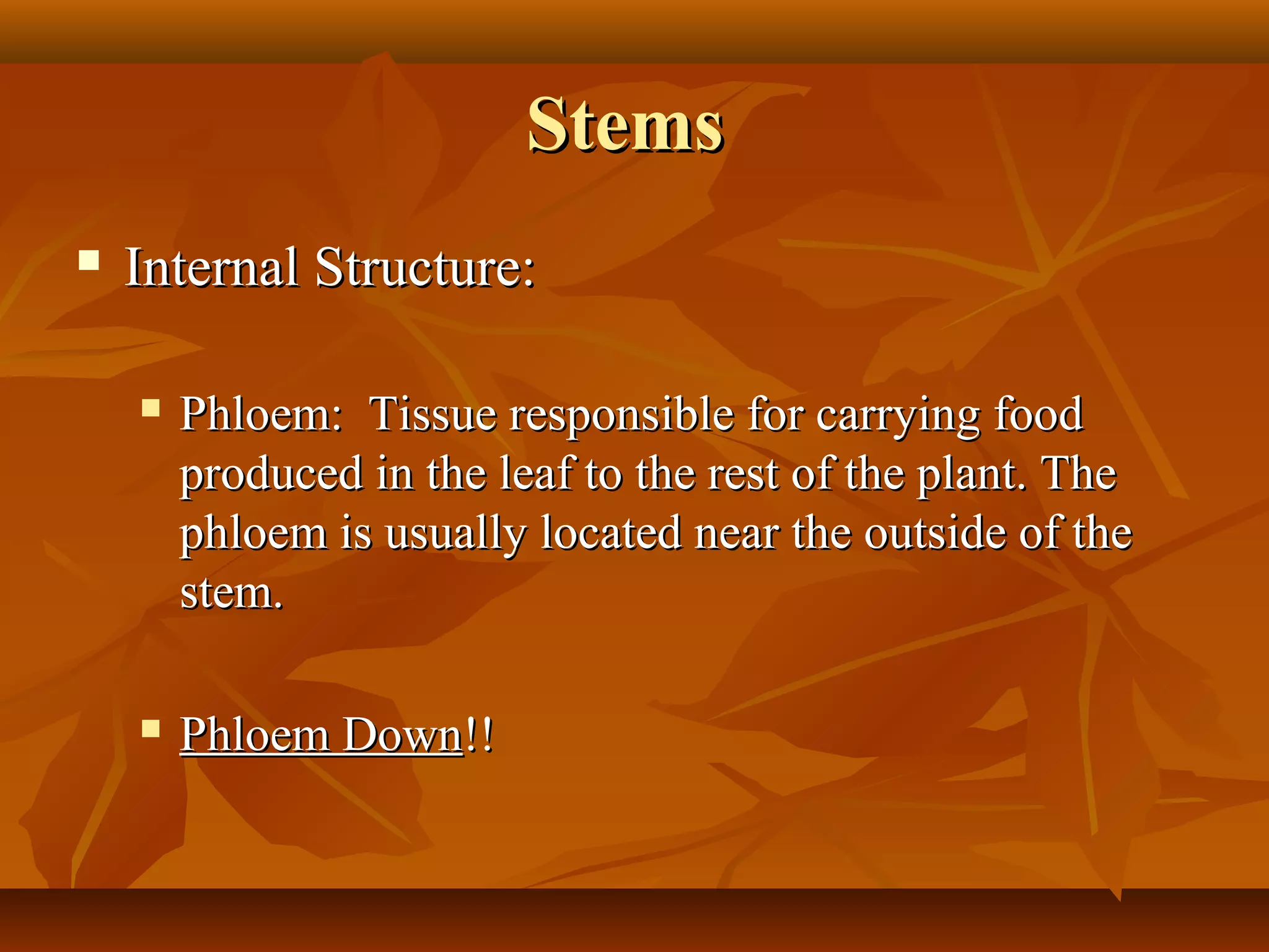 Plant structure and function | PPT