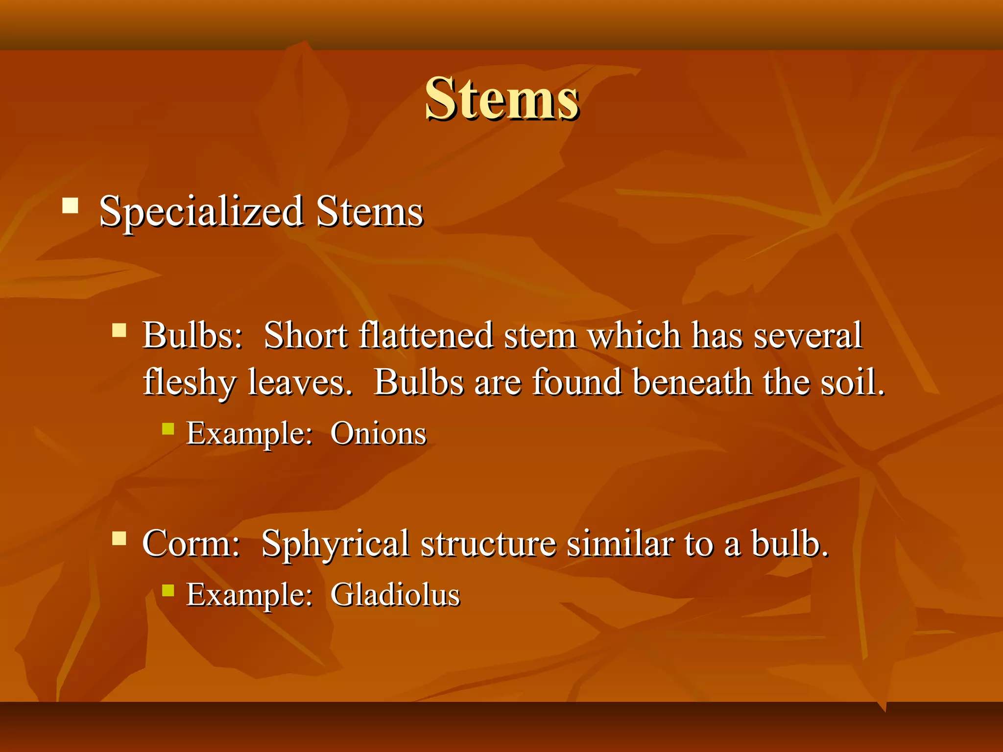 Plant structure and function | PPT