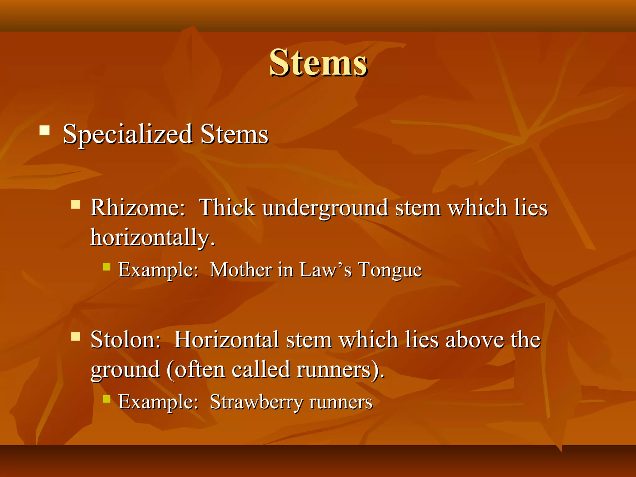 Plant structure and function | PPT