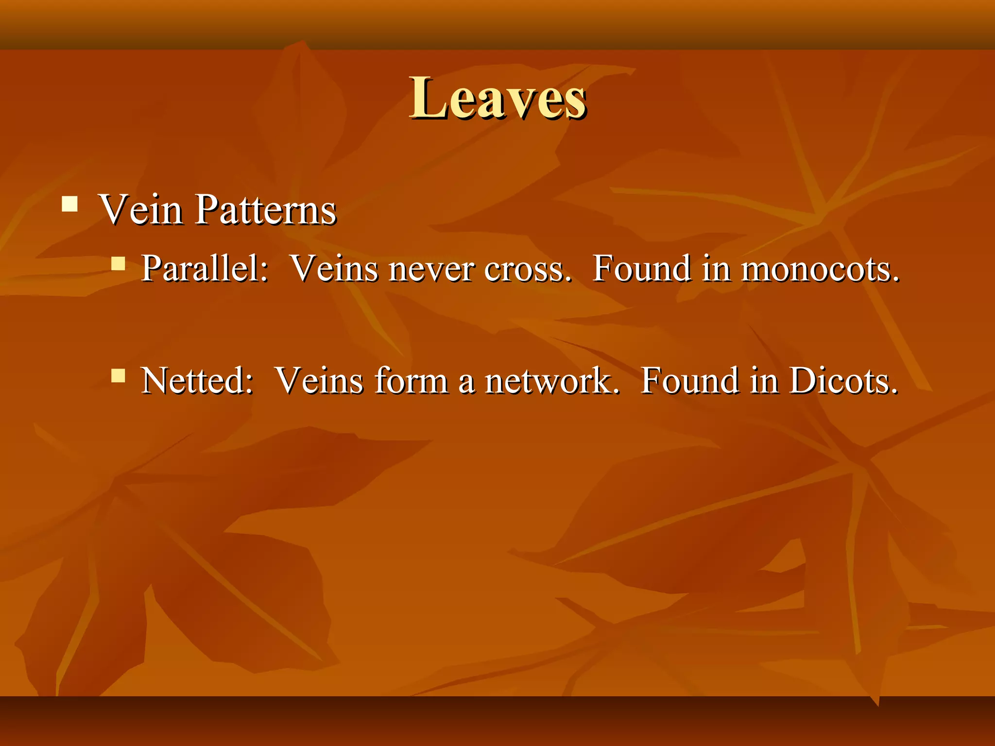 Plant structure and function | PPT