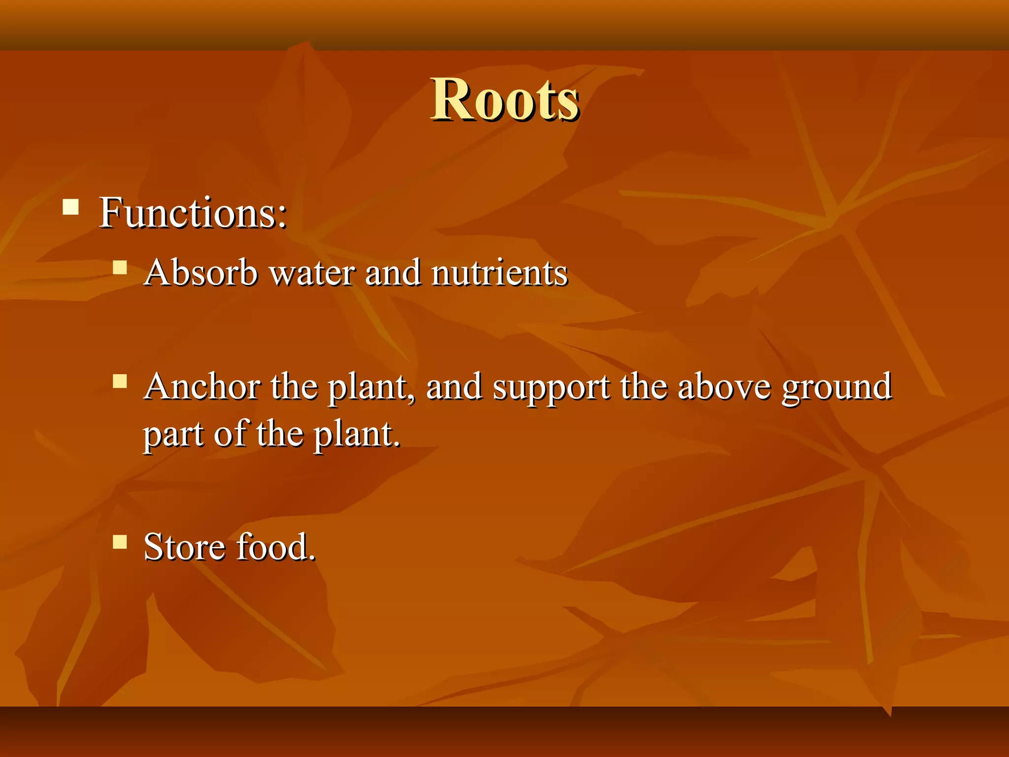 Plant structure and function | PPT